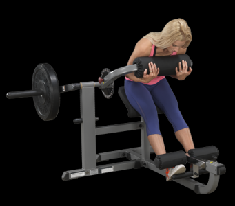 BODY-SOLID CAM SERIES AB & BACK MACHINE GCAB360 - Shah Sports